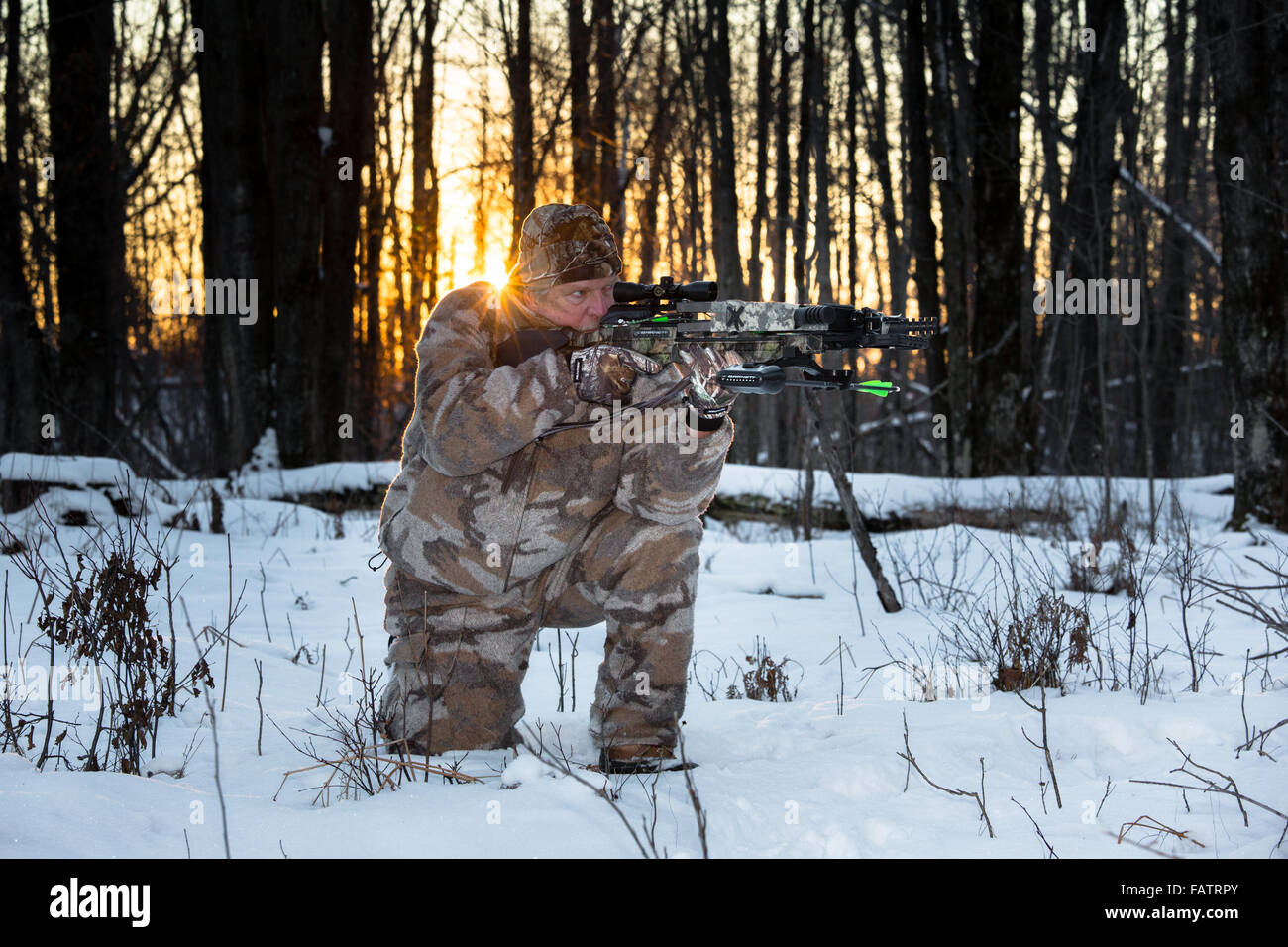 Crossbow hunter taking aim Stock Photo - Alamy