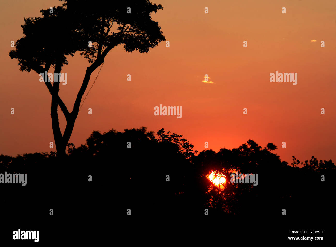 Sunset in the Amazon. Photo: Danilo Mello Stock Photo - Alamy
