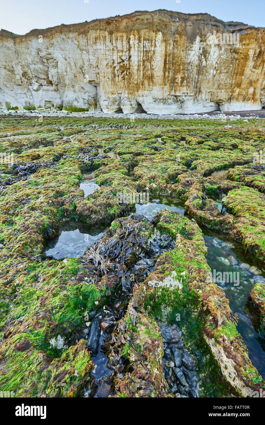 The Wave Cut Platform on the Sussex Coast in the Brighton to Newhaven ...