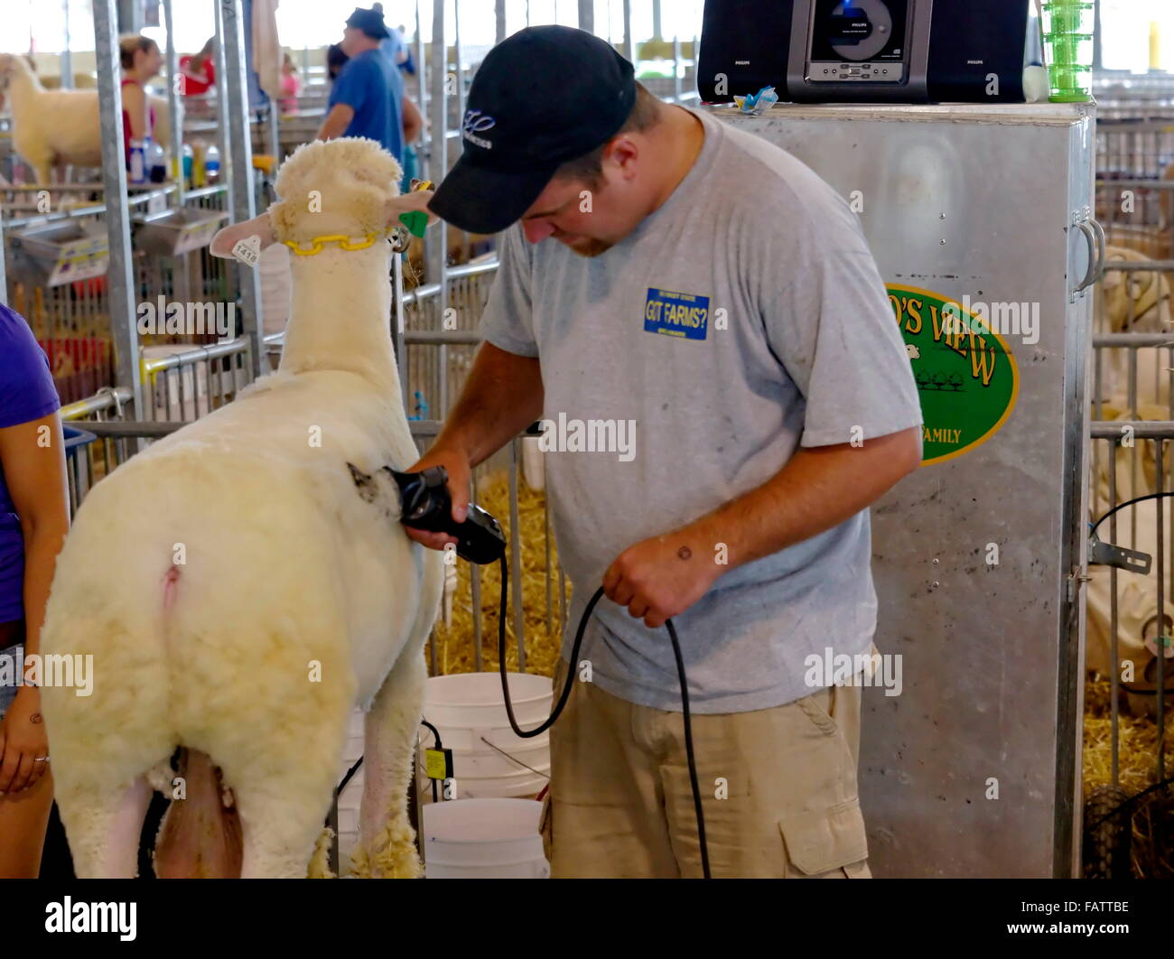 Farmer cutting wool hi-res stock photography and images - Alamy