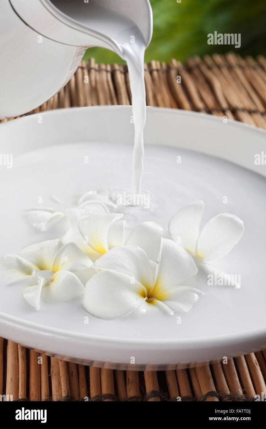 stock image of the spa concept Stock Photo - Alamy