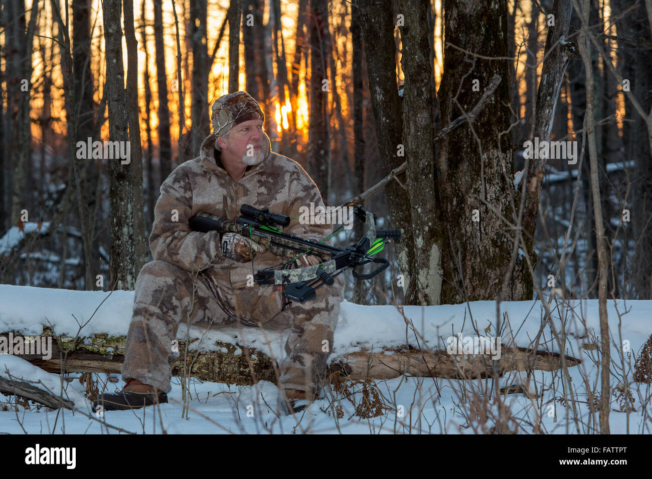 Crossbow hunter sitting on a log Stock Photo - Alamy
