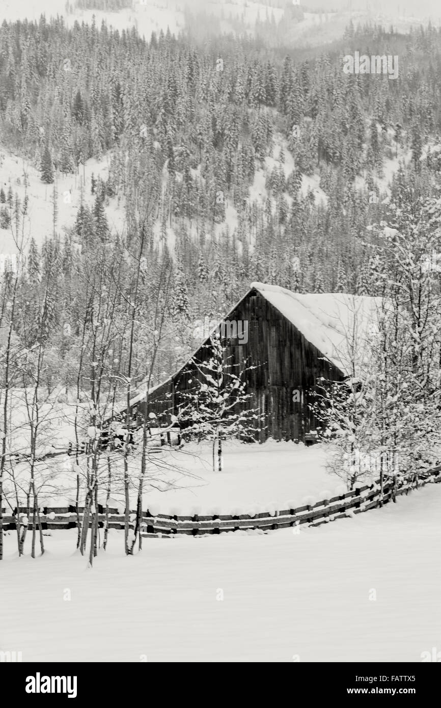 Old barn in snowy field Stock Photo - Alamy