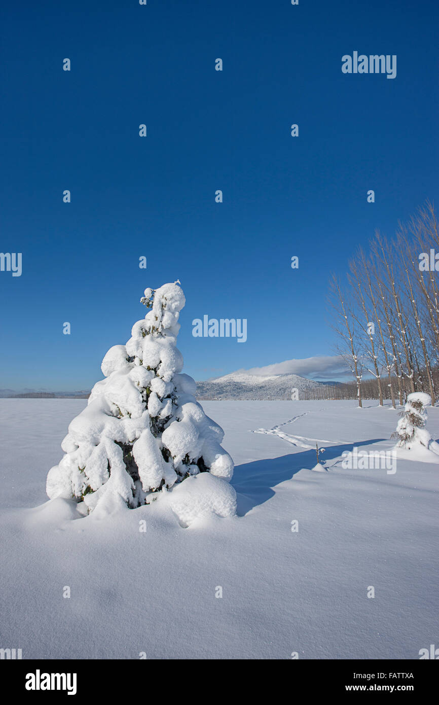 Rathdrum prairie hi-res stock photography and images - Alamy