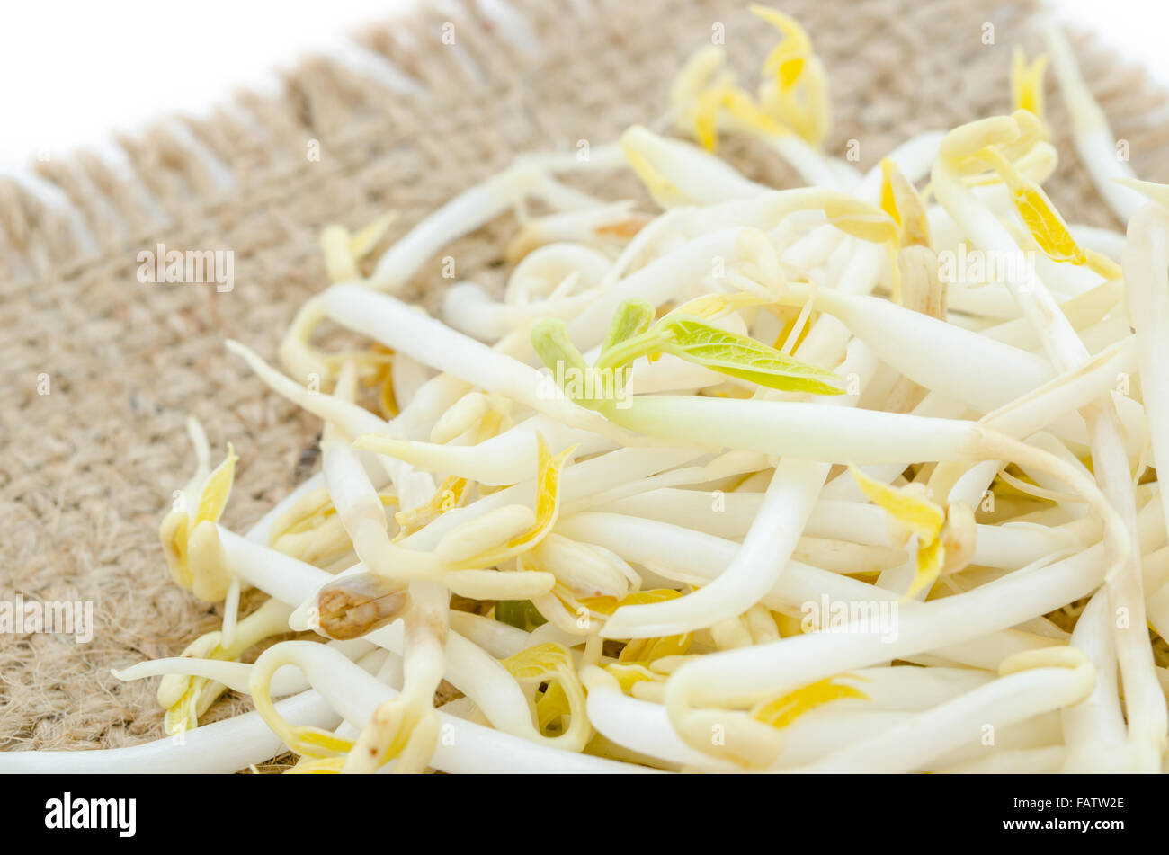 Soyabean sprouts hi-res stock photography and images - Alamy