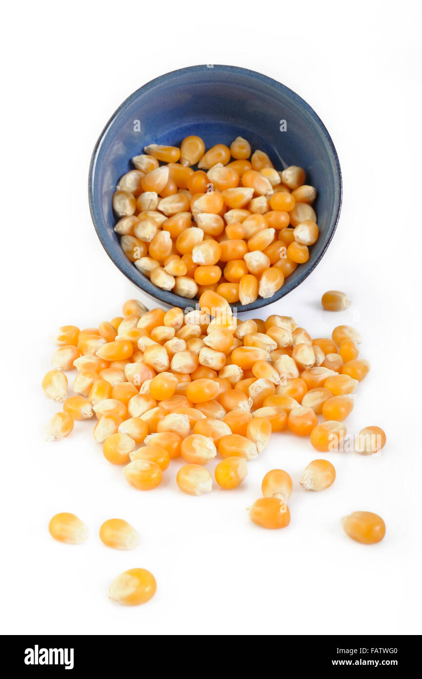 Corn seeds hi-res stock photography and images - Alamy