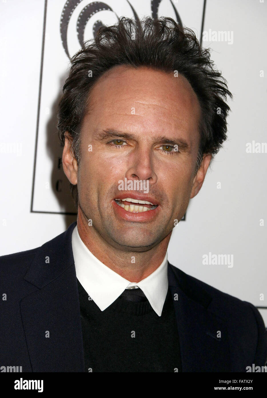 New York, USA. 4th Jan, 2016. Actor WALTON GOGGINS attends the 2015 New ...