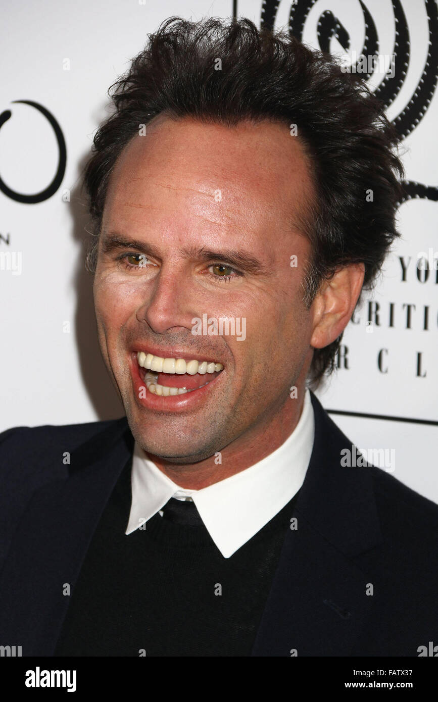 New York, USA. 4th Jan, 2016. Actor WALTON GOGGINS attends the 2015 New ...