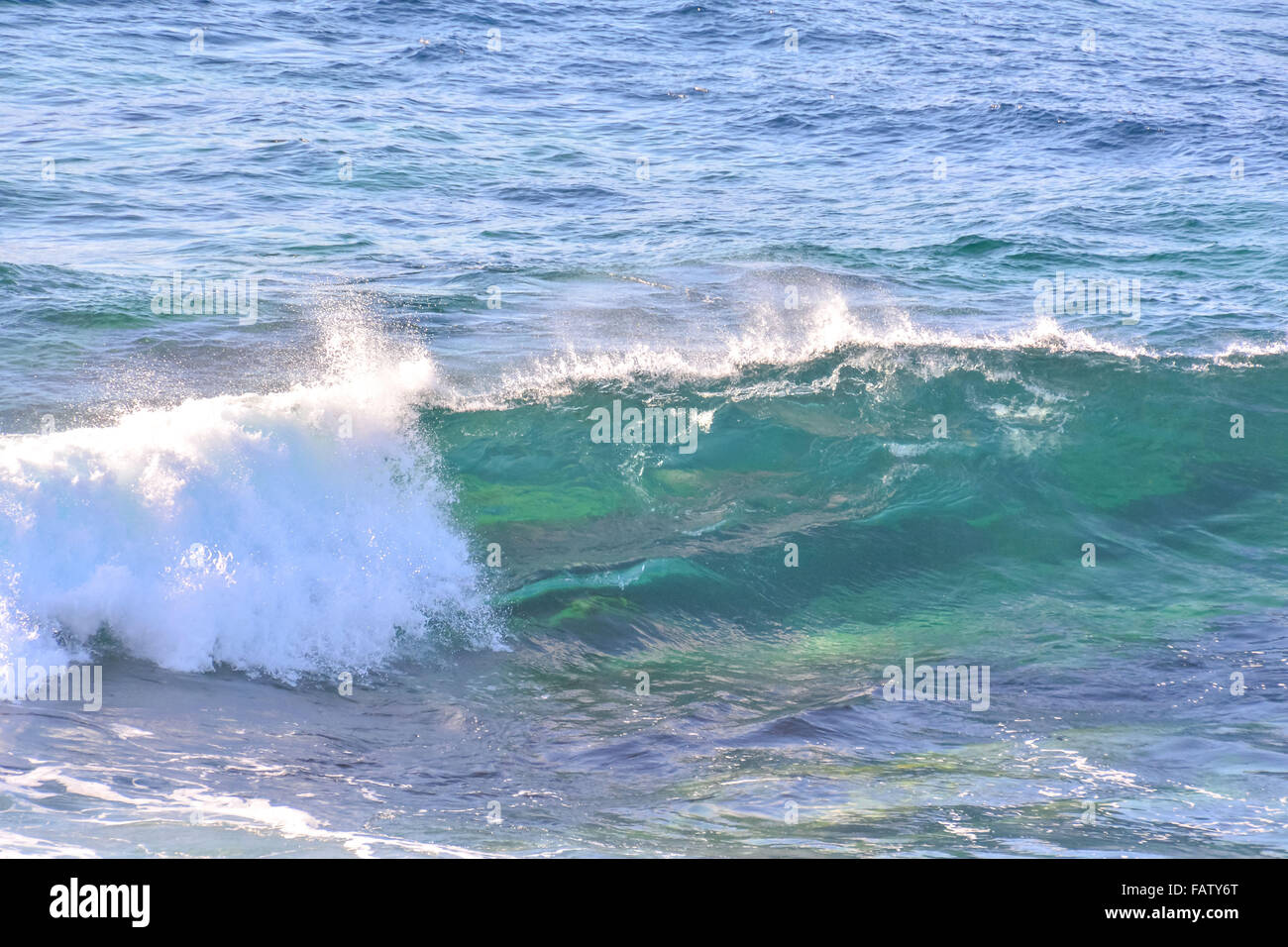 BIg Wave in the Ocean Stock Photo - Alamy