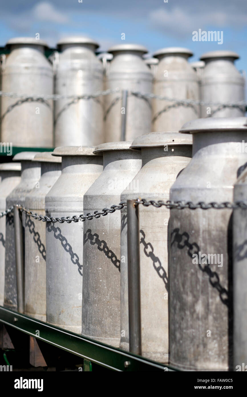 Ten gallon aluminium milk churns stacked on the back of a lorry. Dorset ...