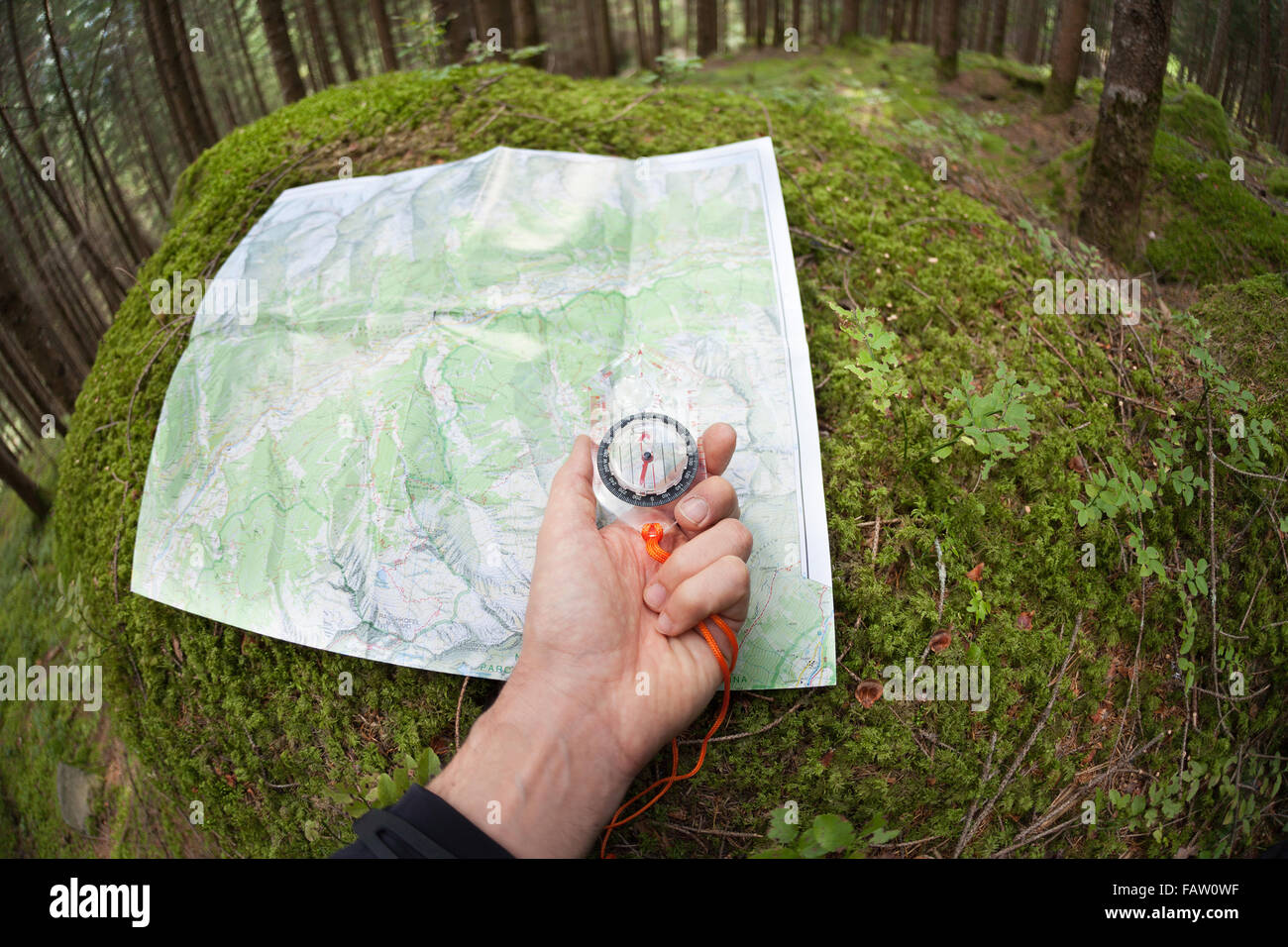 finding the right position in the forest with a map and compass Stock ...
