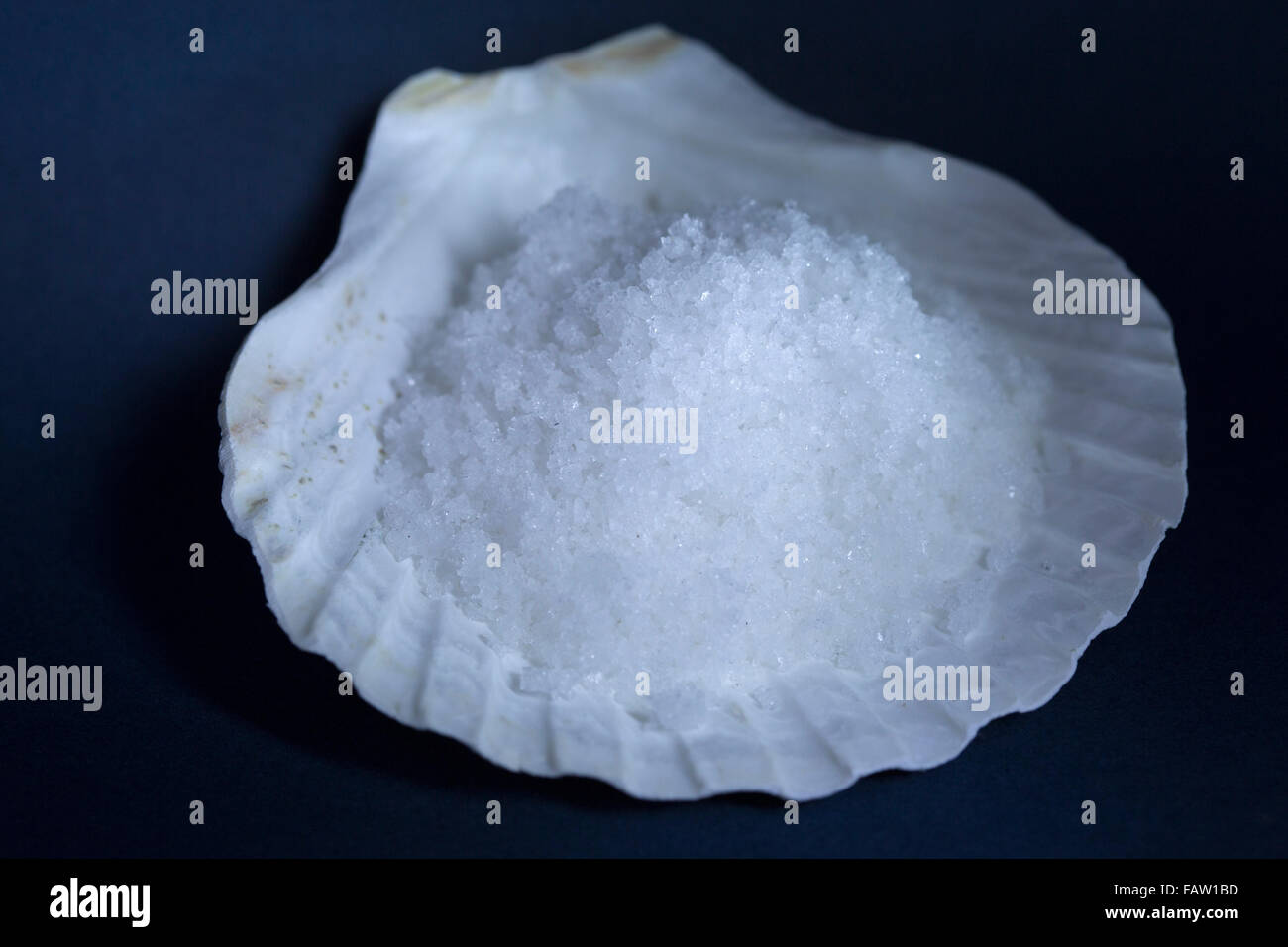Salt in a scallop shell Stock Photo - Alamy