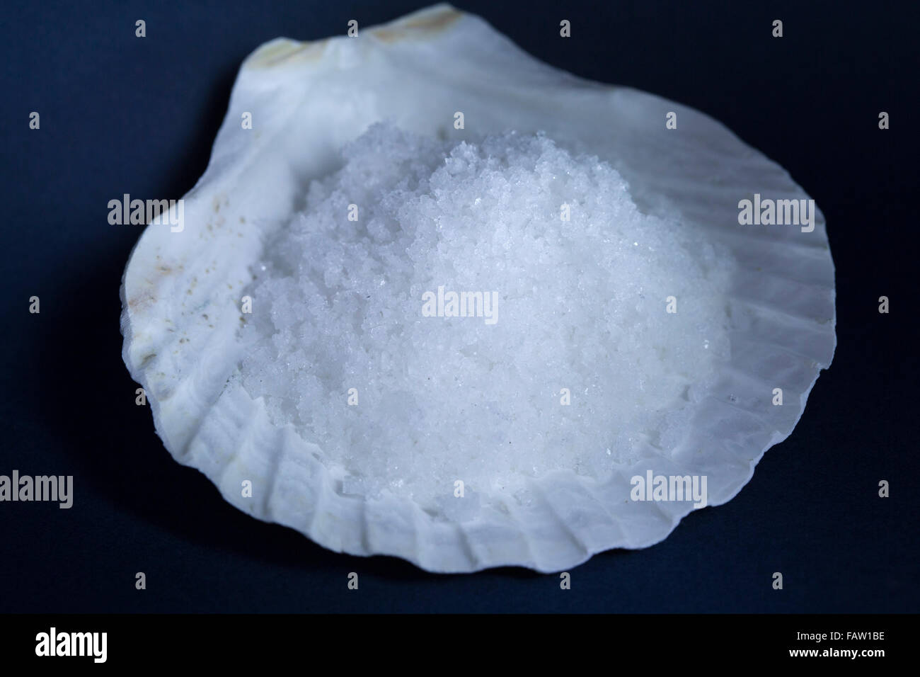 Salt in a scallop shell Stock Photo - Alamy