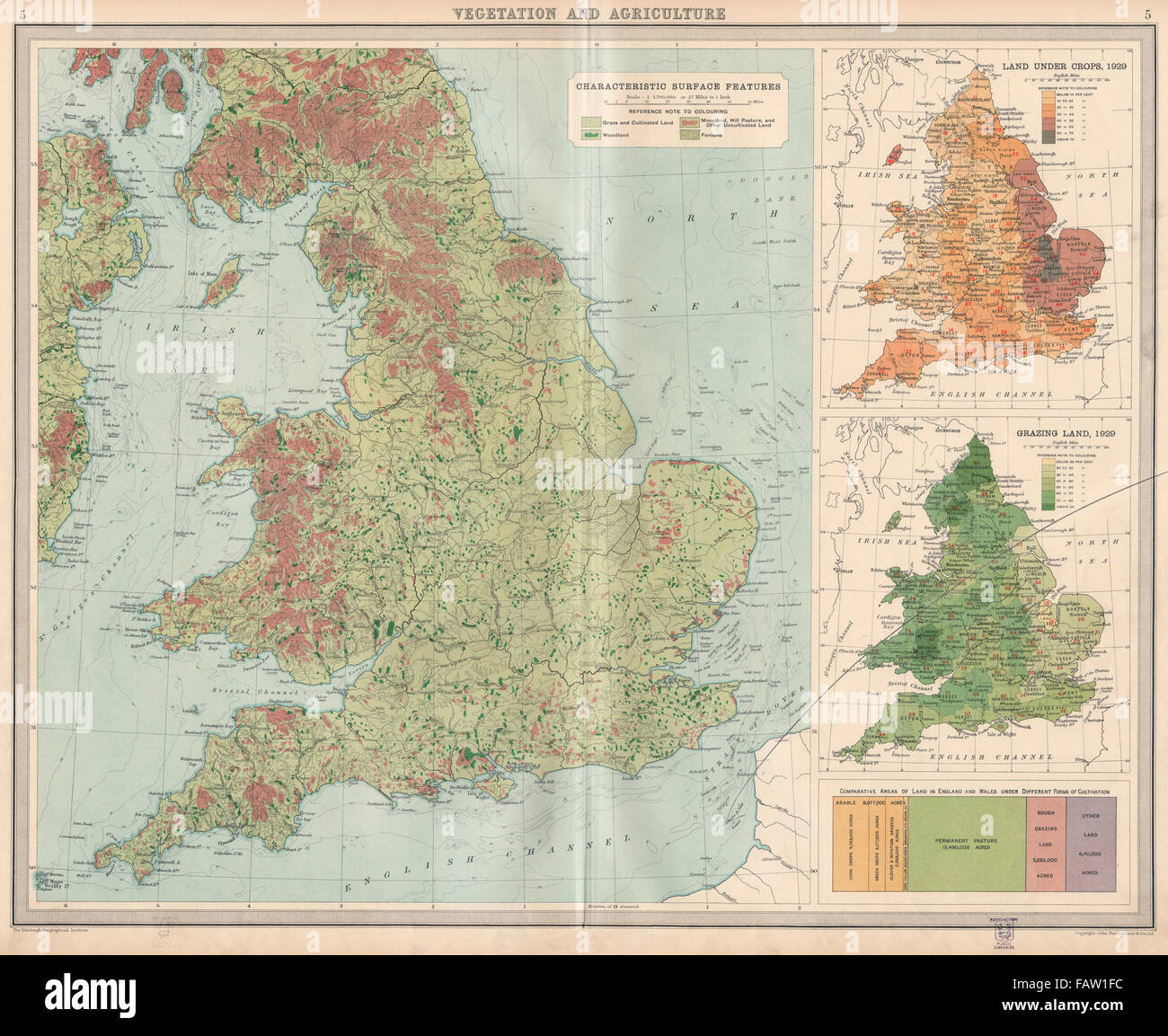 ENGLAND WALES: Vegetation Agriculture cultivated land crops. LARGE ...