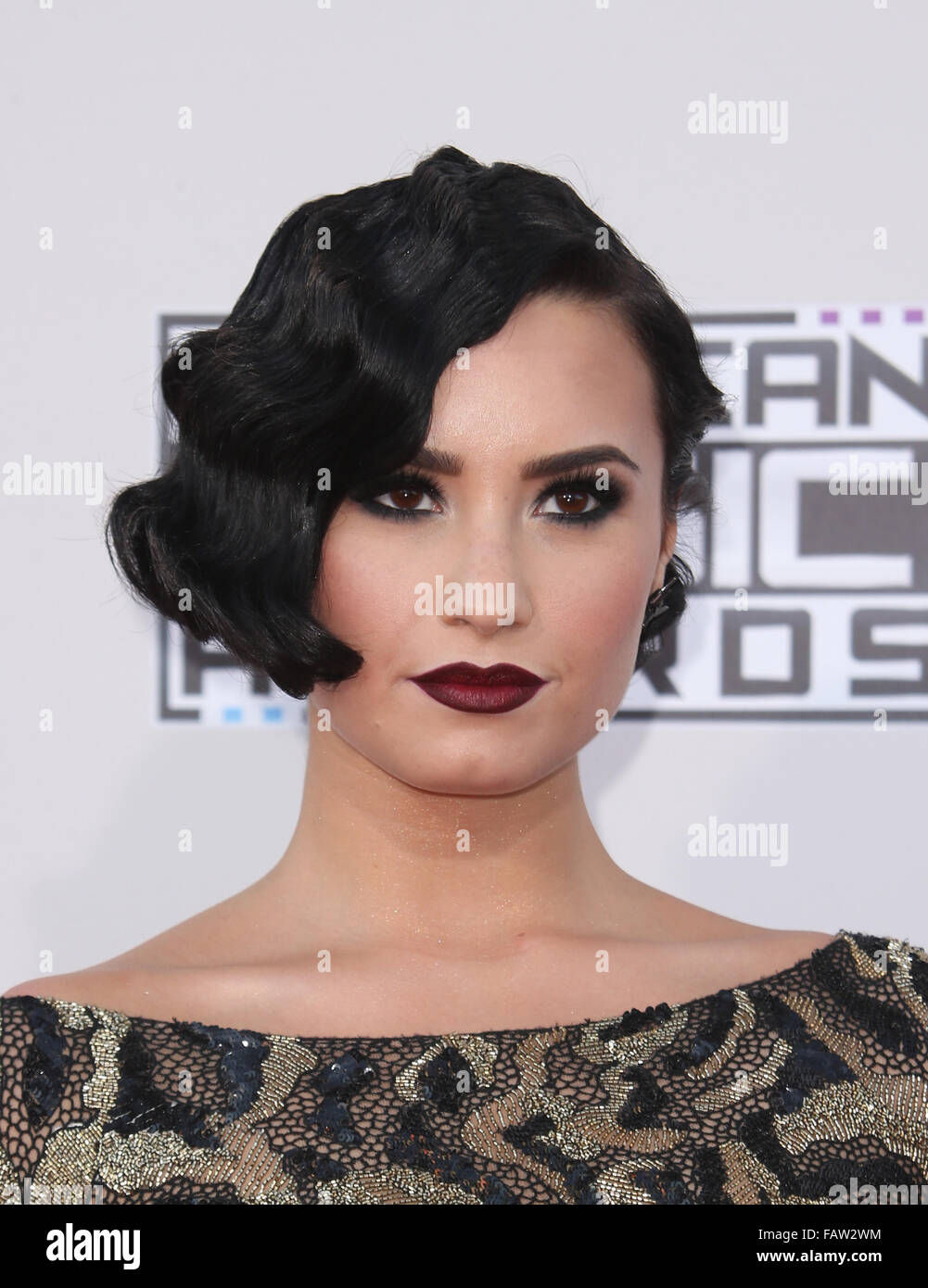 American Music Awards 2015 (AMA's) - Arrivals Featuring: Demi Lovato ...