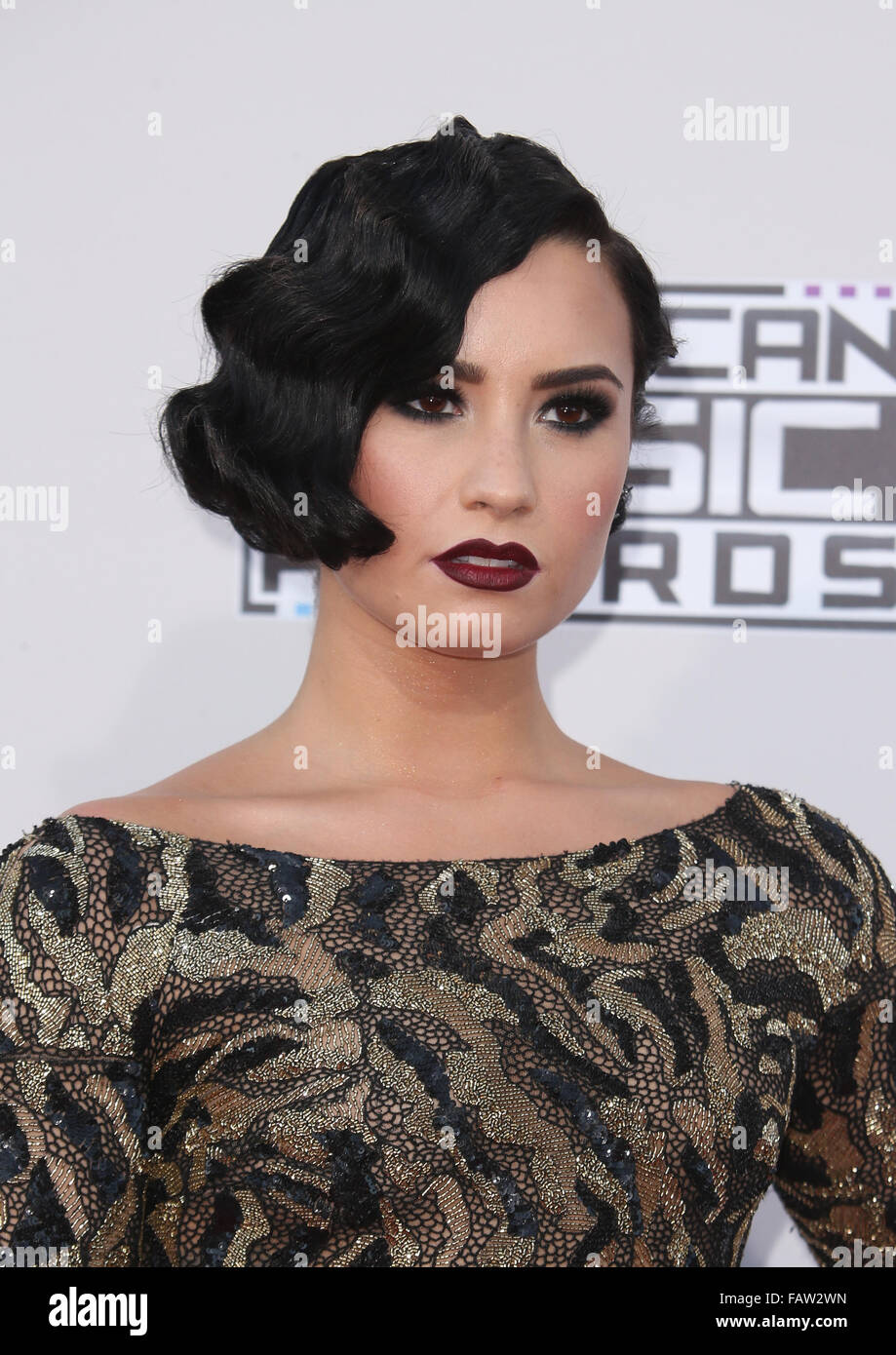 American Music Awards 2015 (AMA's) - Arrivals Featuring: Demi Lovato ...