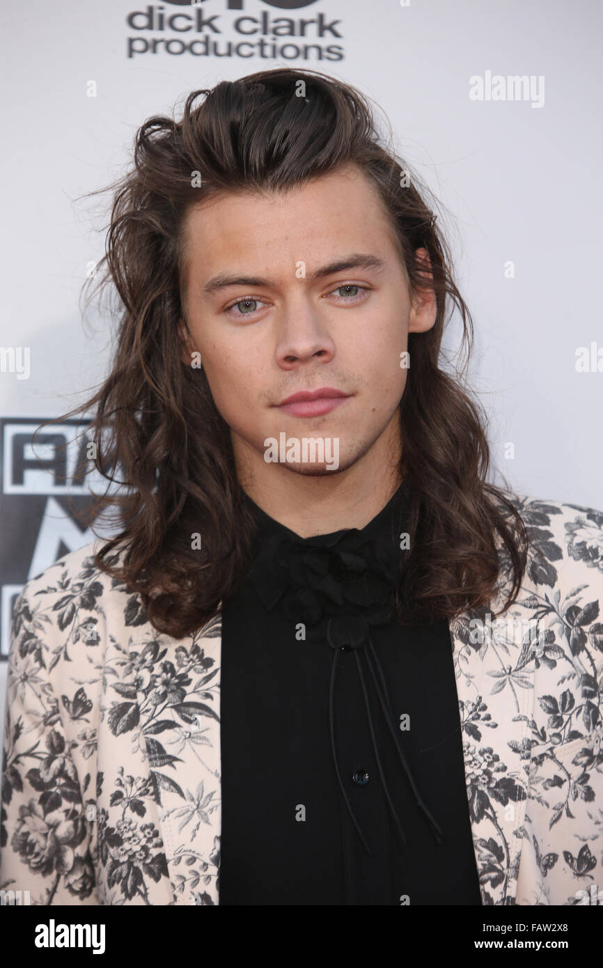 American Music Awards 2015 (AMA's) - Arrivals Featuring: Harry Styles ...