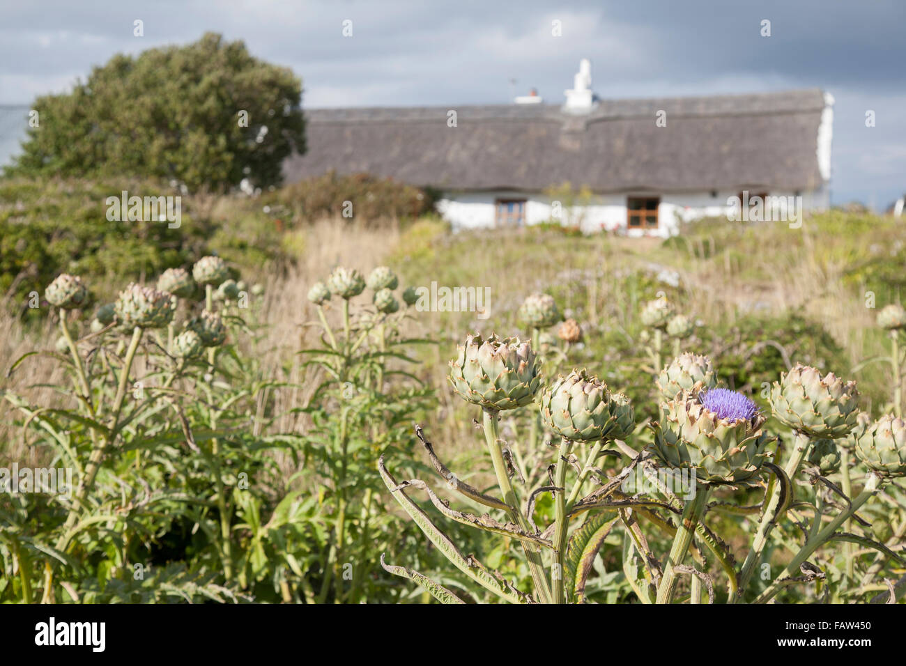 Home inishmore hi-res stock photography and images - Alamy