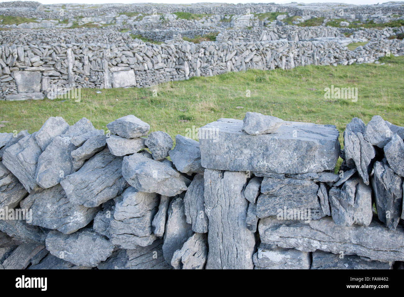 Stone Walls on Inishmore; Aran Islands; Ireland Stock Photo - Alamy
