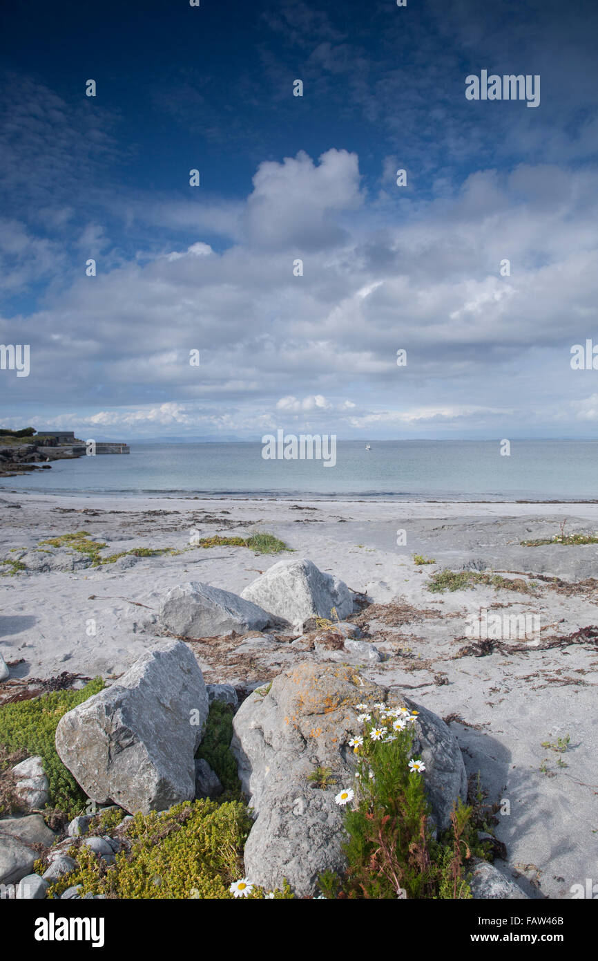Kilmurvey Beach, Inishmore; Aran Islands; Ireland Stock Photo - Alamy