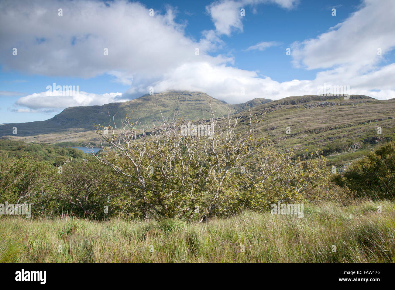 Open Countryside near Killary Fjord, Connemara National Park; Galway ...
