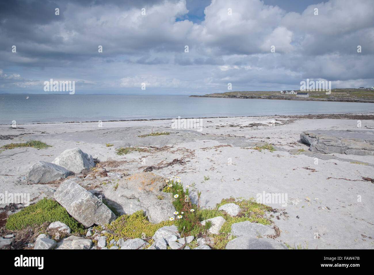 Kilmurvey Beach, Inishmore; Aran Islands; Ireland Stock Photo - Alamy