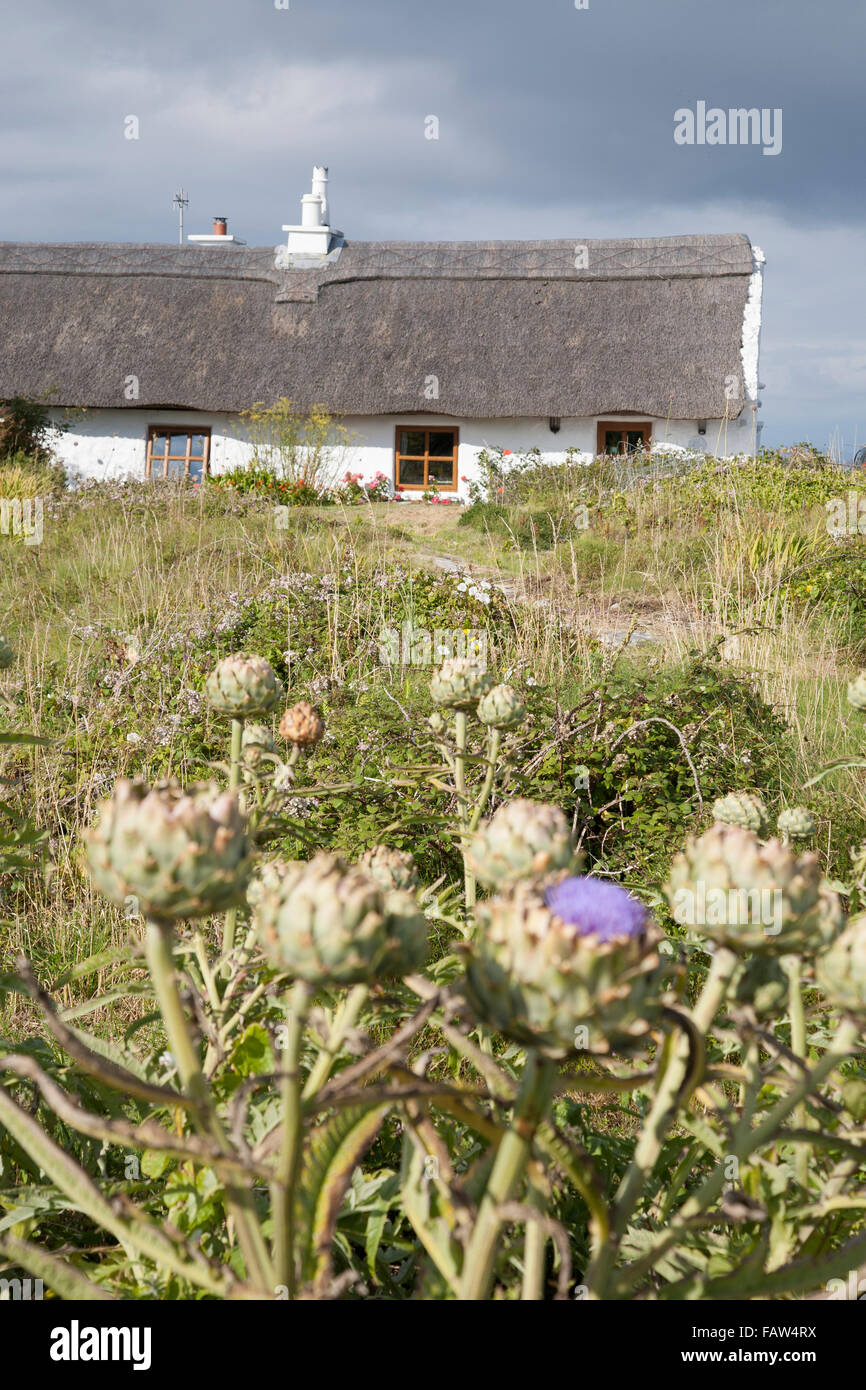 Traditional Cottage, Inishmore; Aran Islands; Ireland Stock Photo - Alamy