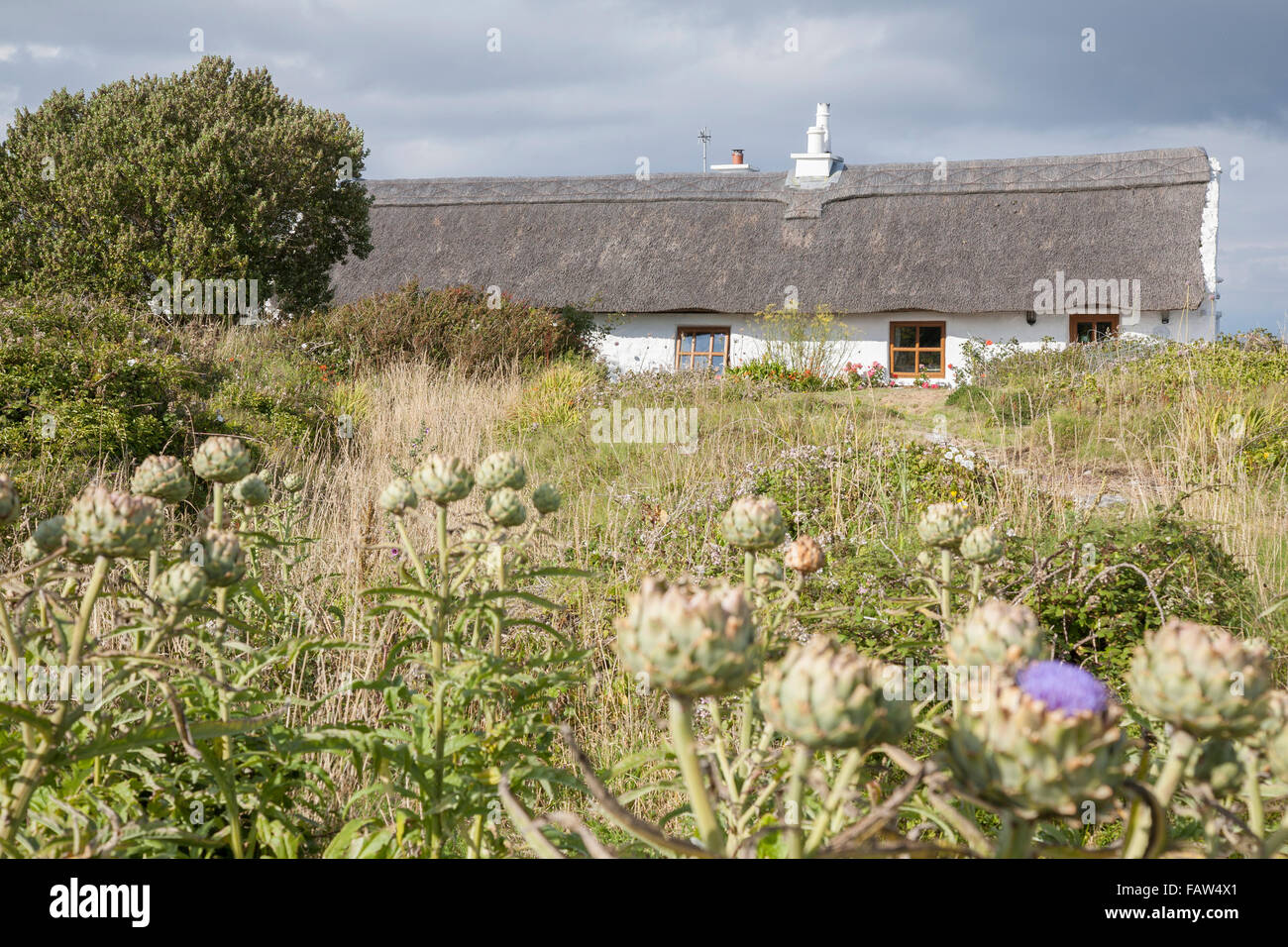 Traditional Cottage, Inishmore; Aran Islands; Ireland Stock Photo - Alamy