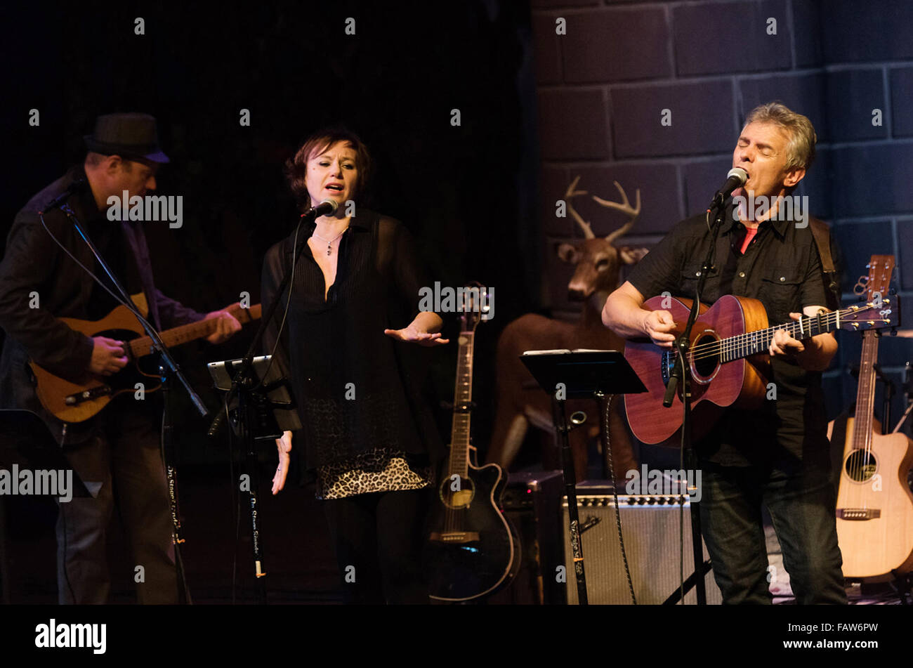 Wild Honey Presents: Iain Matthews & Christine Collister and Au Pair ...