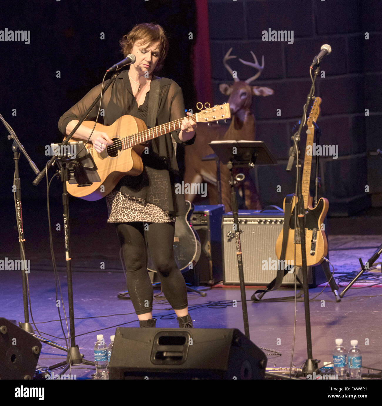 Wild Honey Presents: Iain Matthews & Christine Collister and Au Pair ...