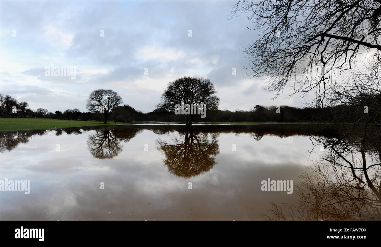 Hellingly flooding hi-res stock photography and images - Alamy