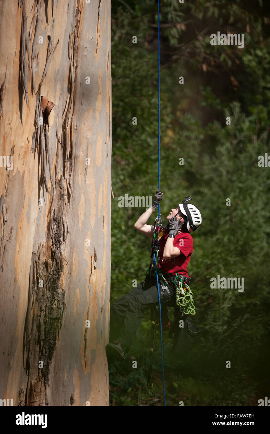 Coimbra, Portugal. 26th Sept, 2015. Vicki Tough ascending. A team of ...