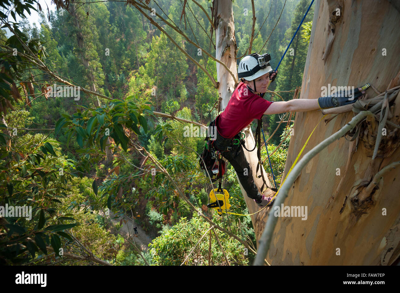 Coimbra, Portugal. 26th Sept, 2015. Vicki Tough with the tape measure ...