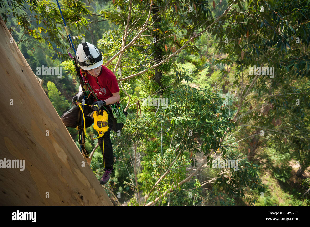 Coimbra, Portugal. 26th Sept, 2015. Vicki Tough with the tape measure ...