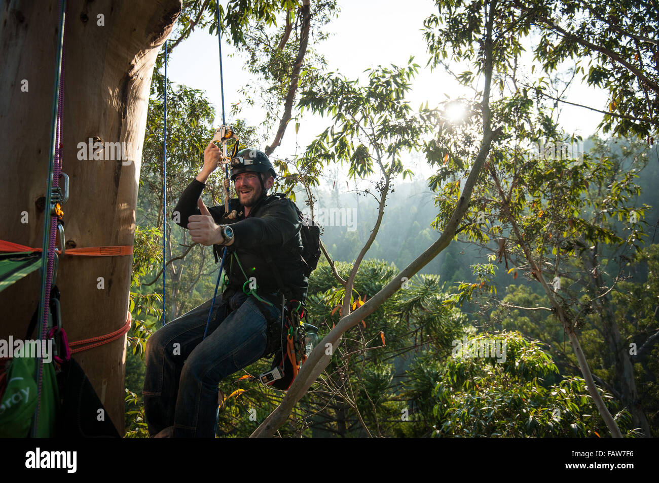 Coimbra, Portugal. 26th Sept, 2015. Syd Howells above the canopy. A ...