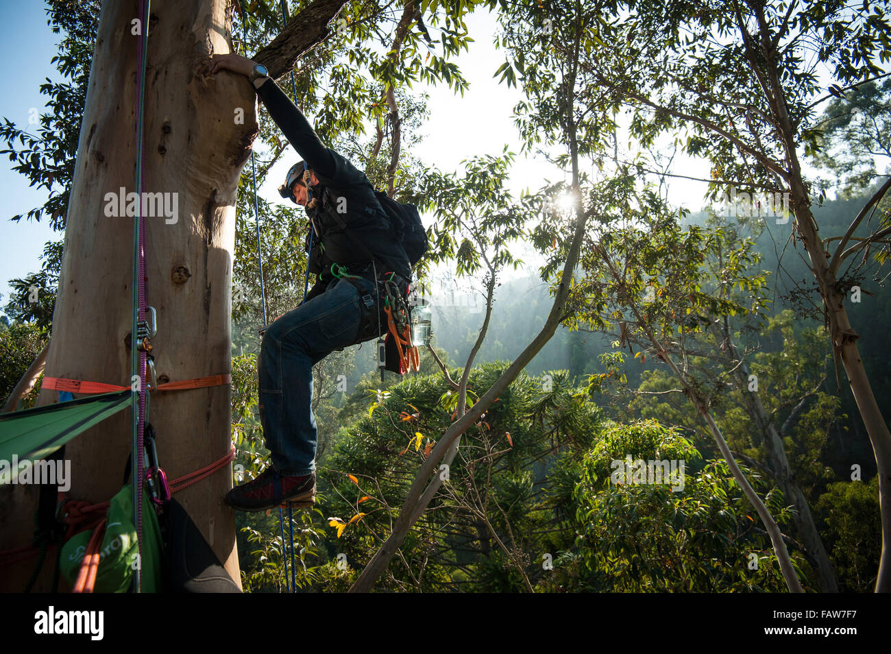 Coimbra, Portugal. 26th Sept, 2015. Syd Howells above the canopy. A ...