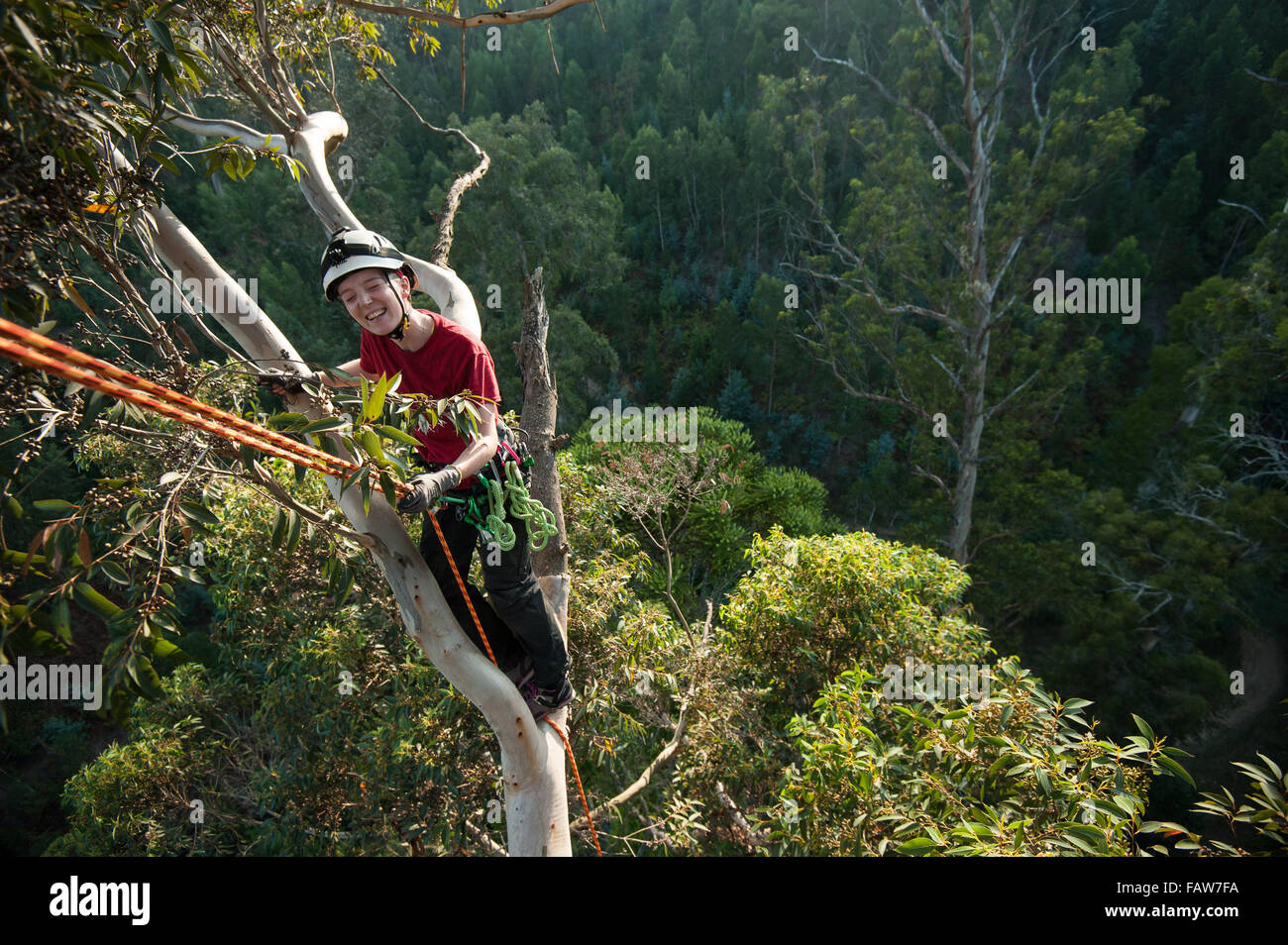 Coimbra, Portugal. 26th Sept, 2015. Vicki Tough climbing Karri Knight ...