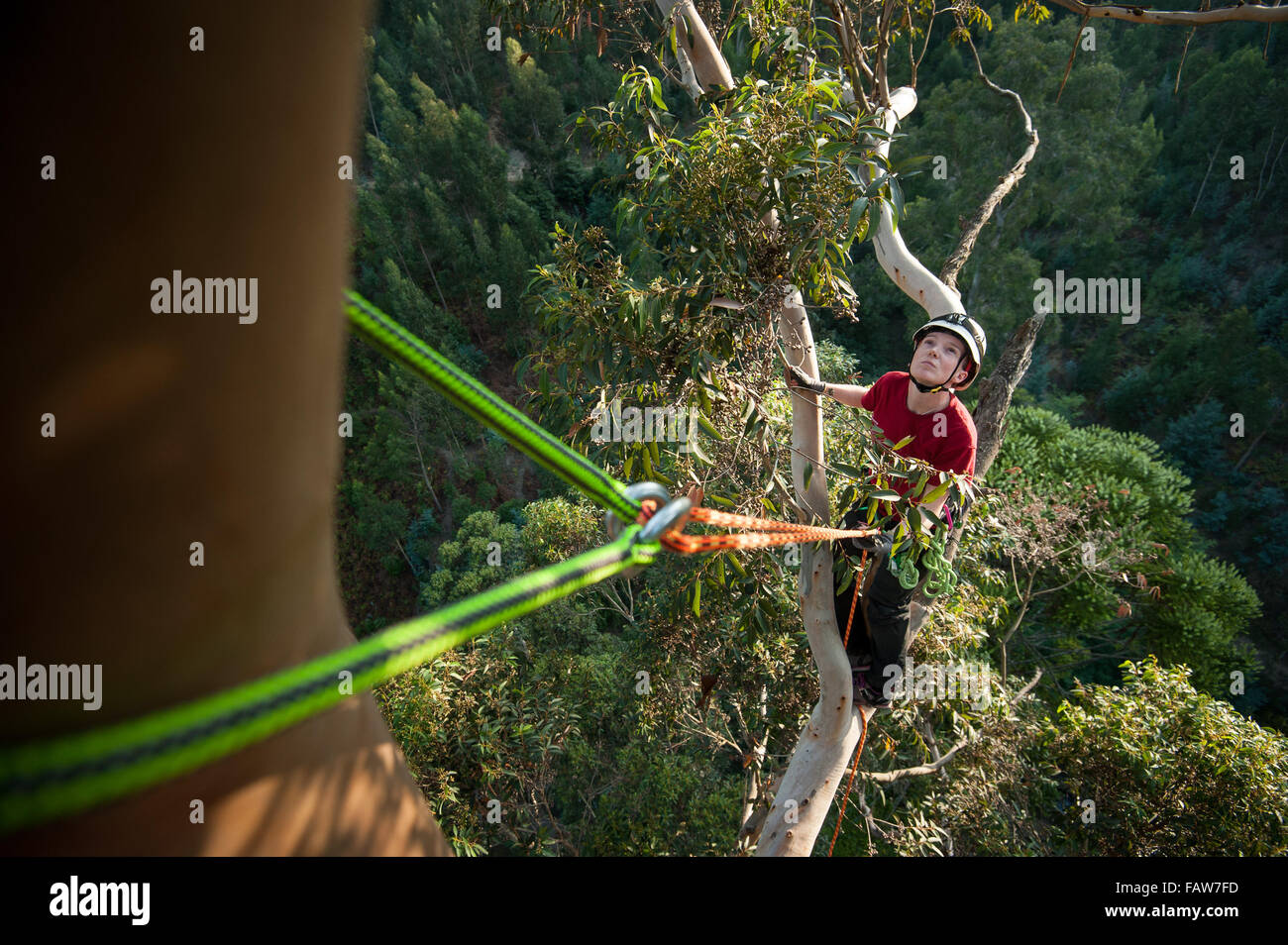 Coimbra, Portugal. 26th Sept, 2015. Vicki Tough climbing Karri Knight ...