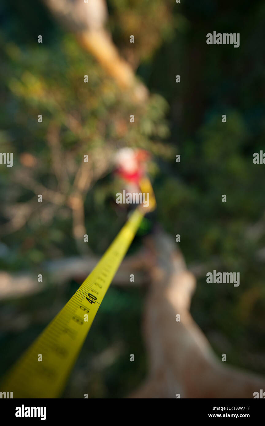 Coimbra, Portugal. 26th Sept, 2015. A team of British climbers ...