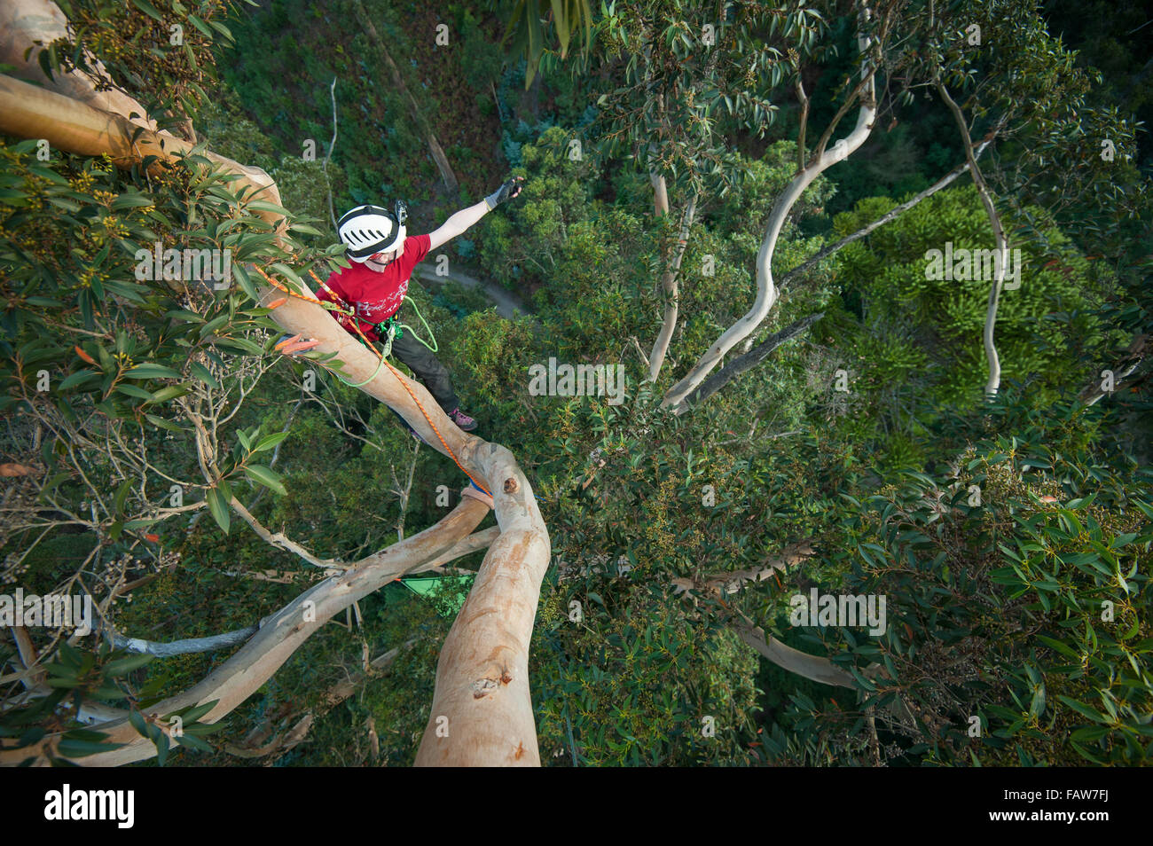Coimbra, Portugal. 26th Sept, 2015. Vicki Tough climbing Karri Knight ...