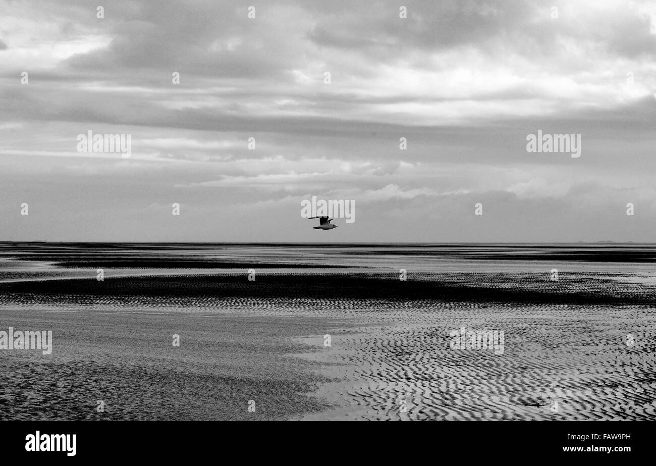 North sea in schleswig Black and White Stock Photos & Images - Alamy