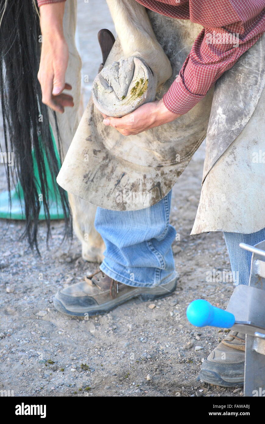 Farrier working hi-res stock photography and images - Alamy
