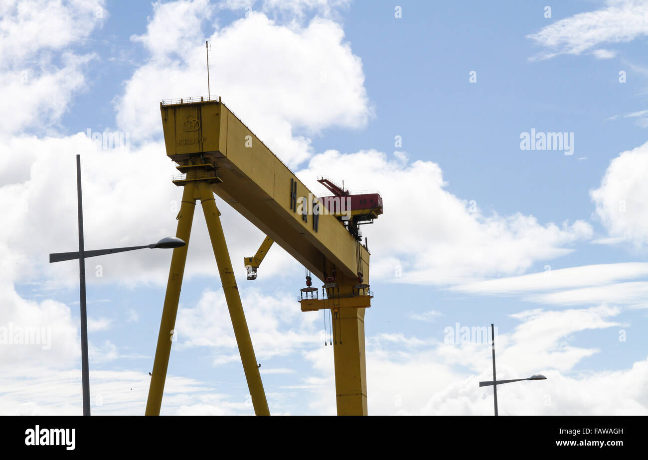 Harland and Wolff's iconic cranes Samson (tallest) and Goliath were ...