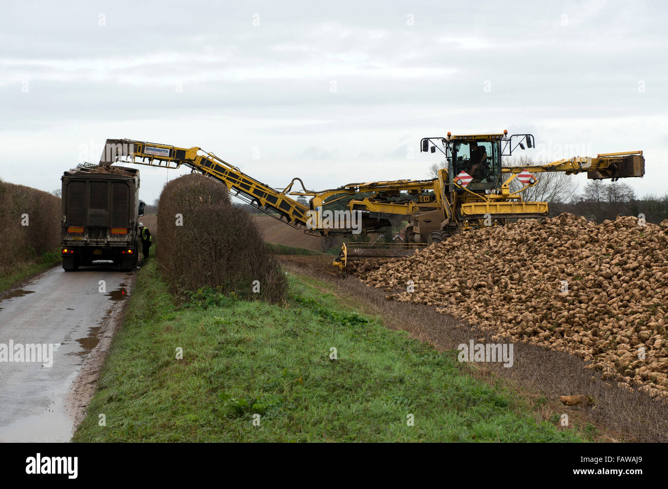 Self propelled sugar beet loader hi-res stock photography and images ...