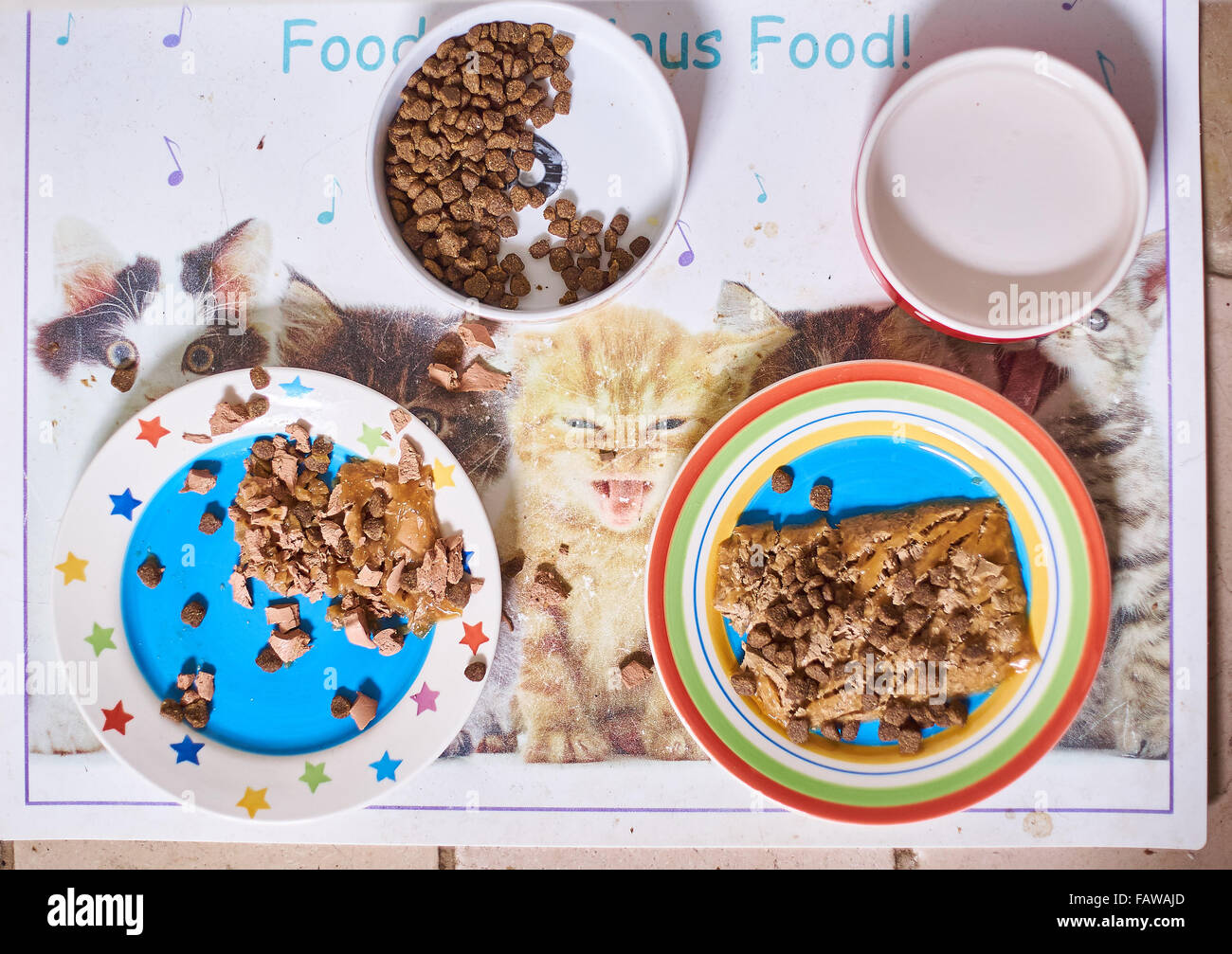 A cat feeding station with cat food, bowls and plates Stock Photo - Alamy