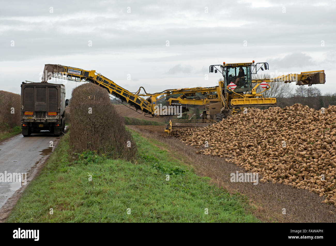 Sugar beet lorry hi-res stock photography and images - Alamy