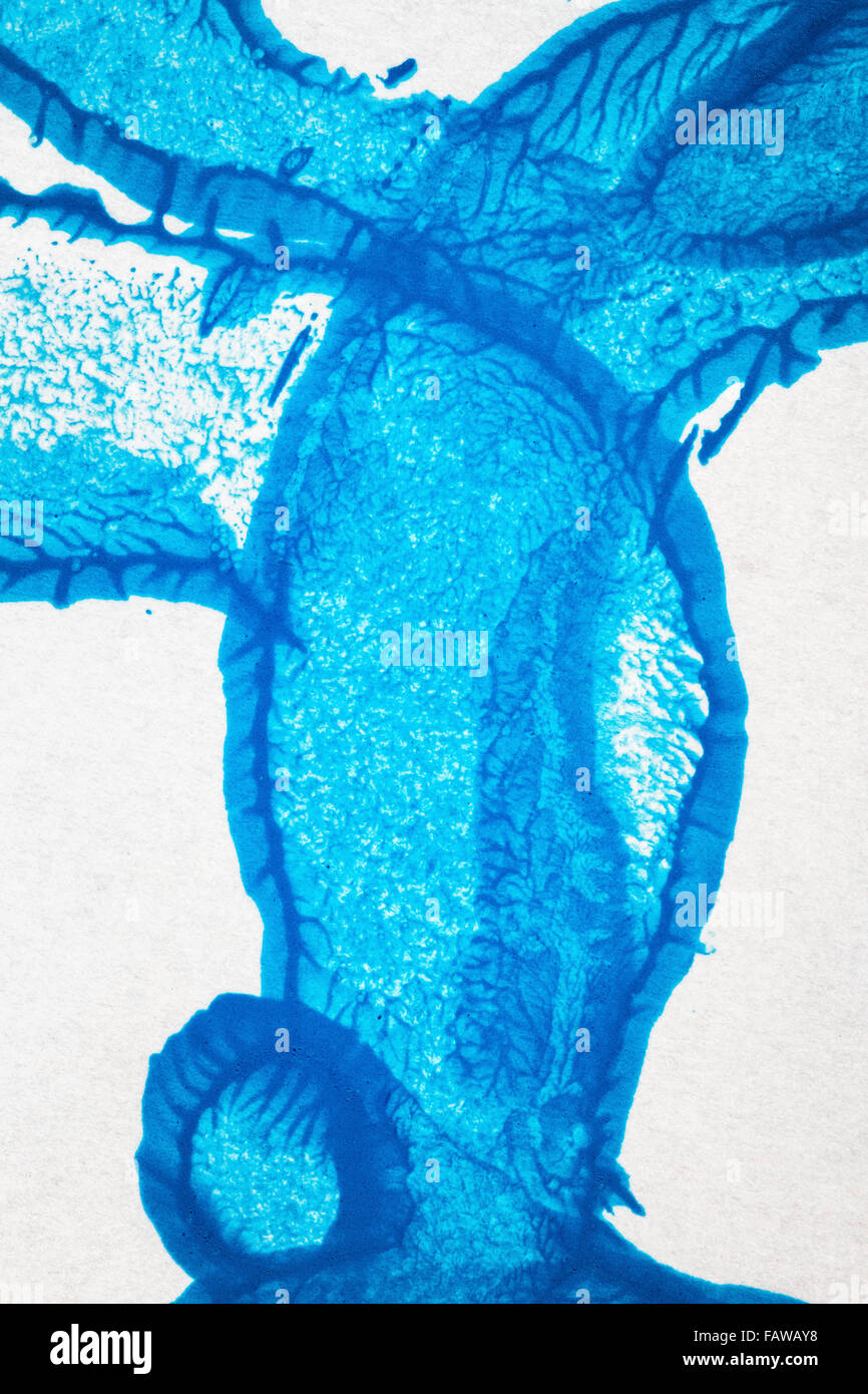 Abstract hand drawn blue acrylic background Stock Photo - Alamy