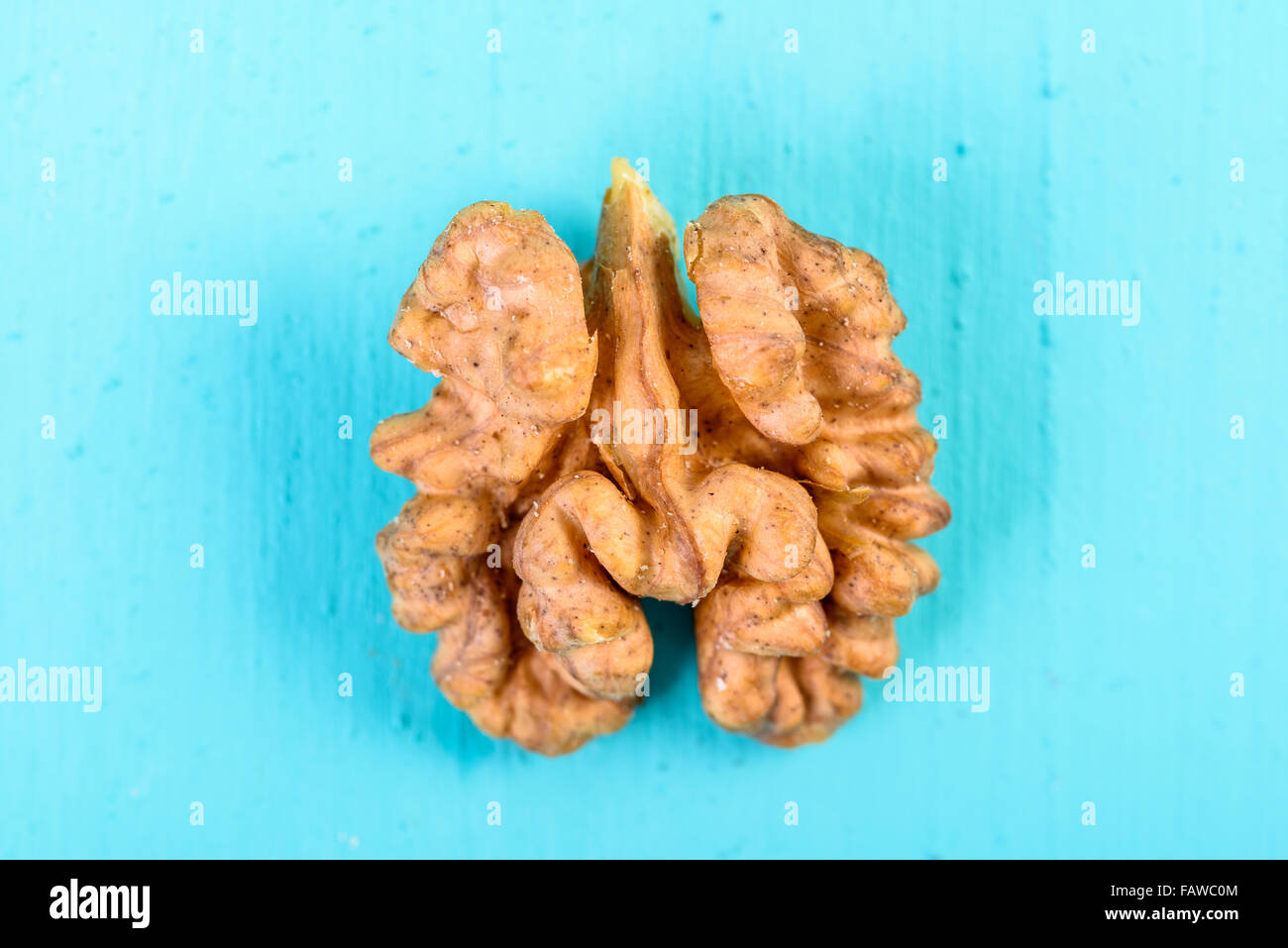 Half Walnut Kernel On Blue Background Stock Photo - Alamy