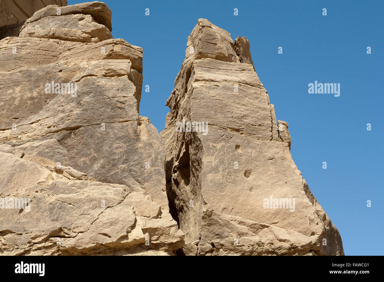 Vulture graffiti hi-res stock photography and images - Alamy