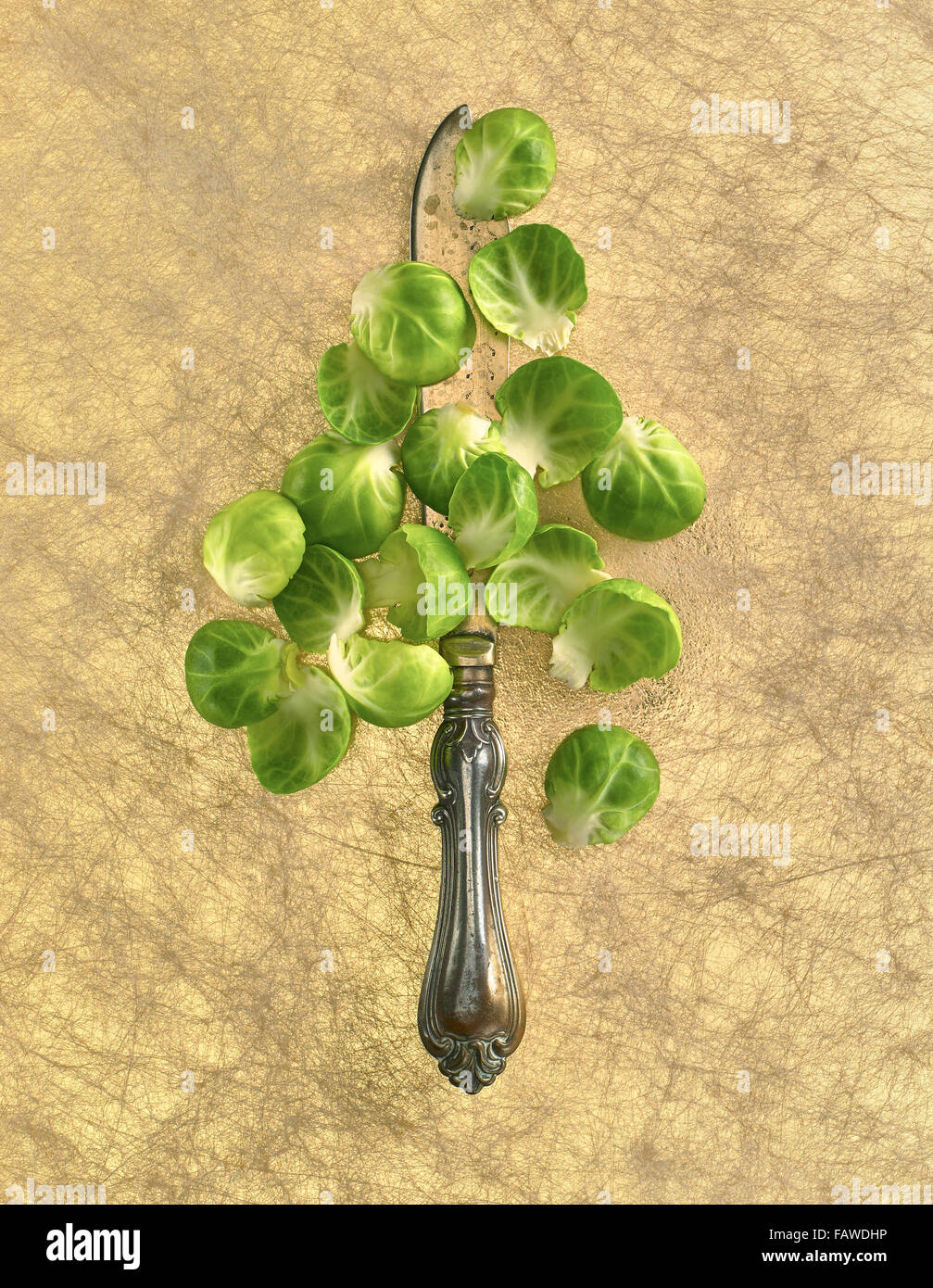 Cut tree sprout hi-res stock photography and images - Alamy